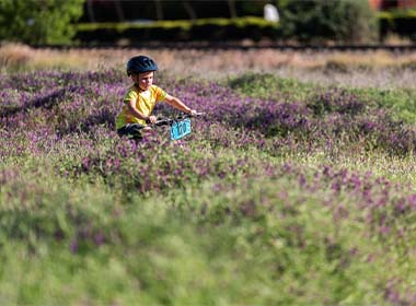 Clipped In For Life - Grip Academy